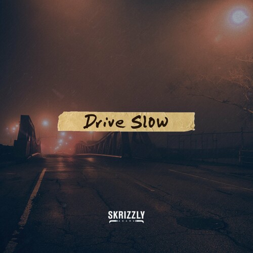 Drive Slow (CDS) 2019 Pop - Skrizzly Adams - Download Pop Music ...