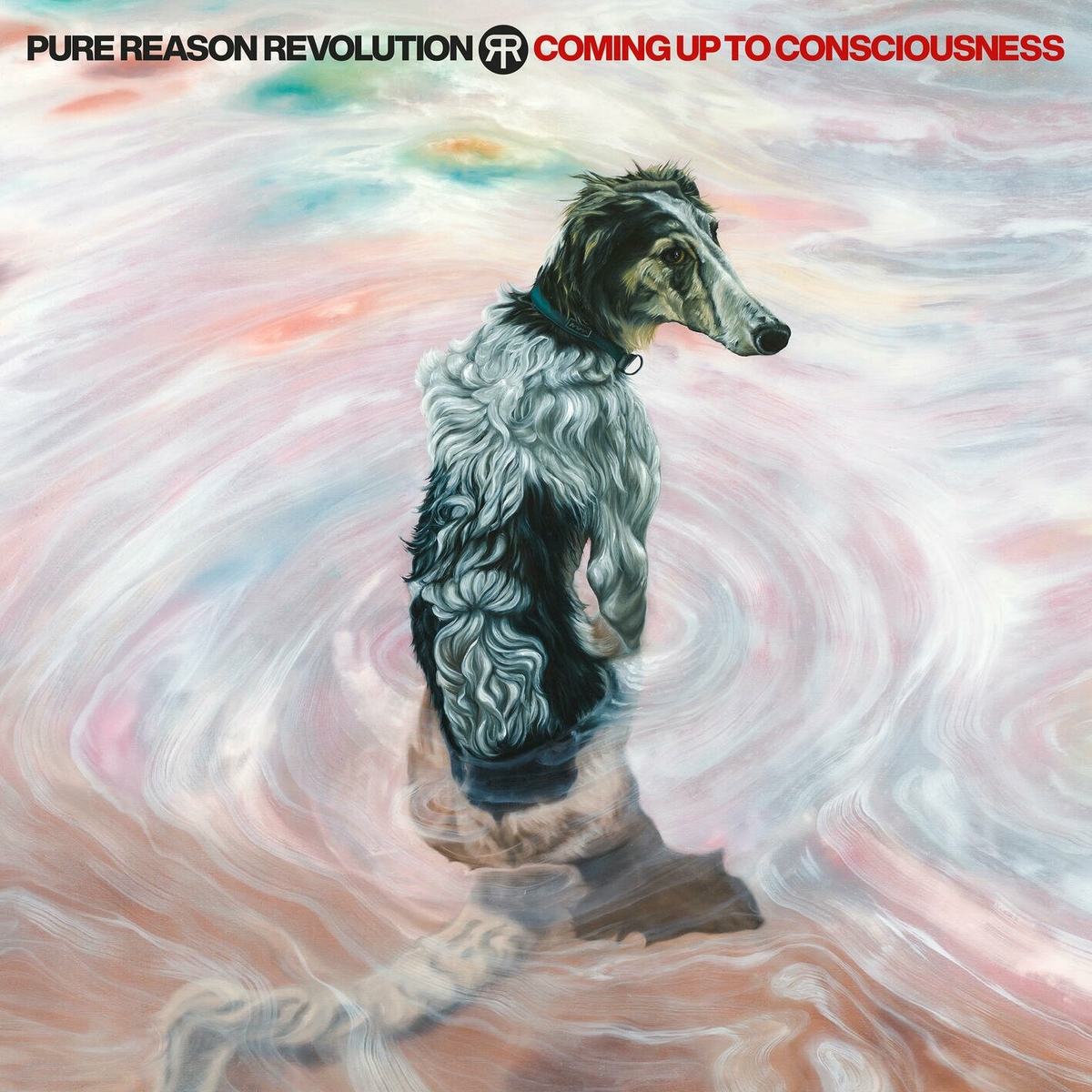 Coming Up To Consciousness 2024 Progressive Rock - Pure Reason ...