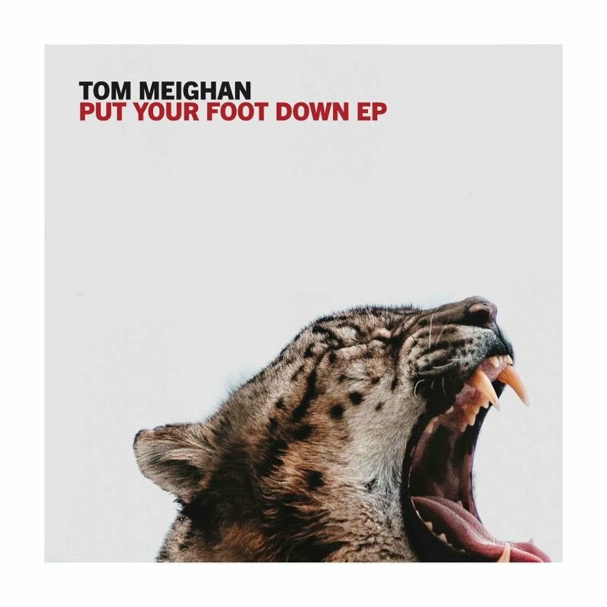Put Your Foot Down (EP) 2022 Alternative - Tom Meighan - Download ...