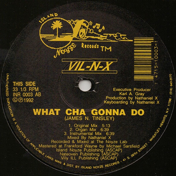 What Cha Gonna Do (VLS) 1992 House - Vil-N-X - Download House Music ...