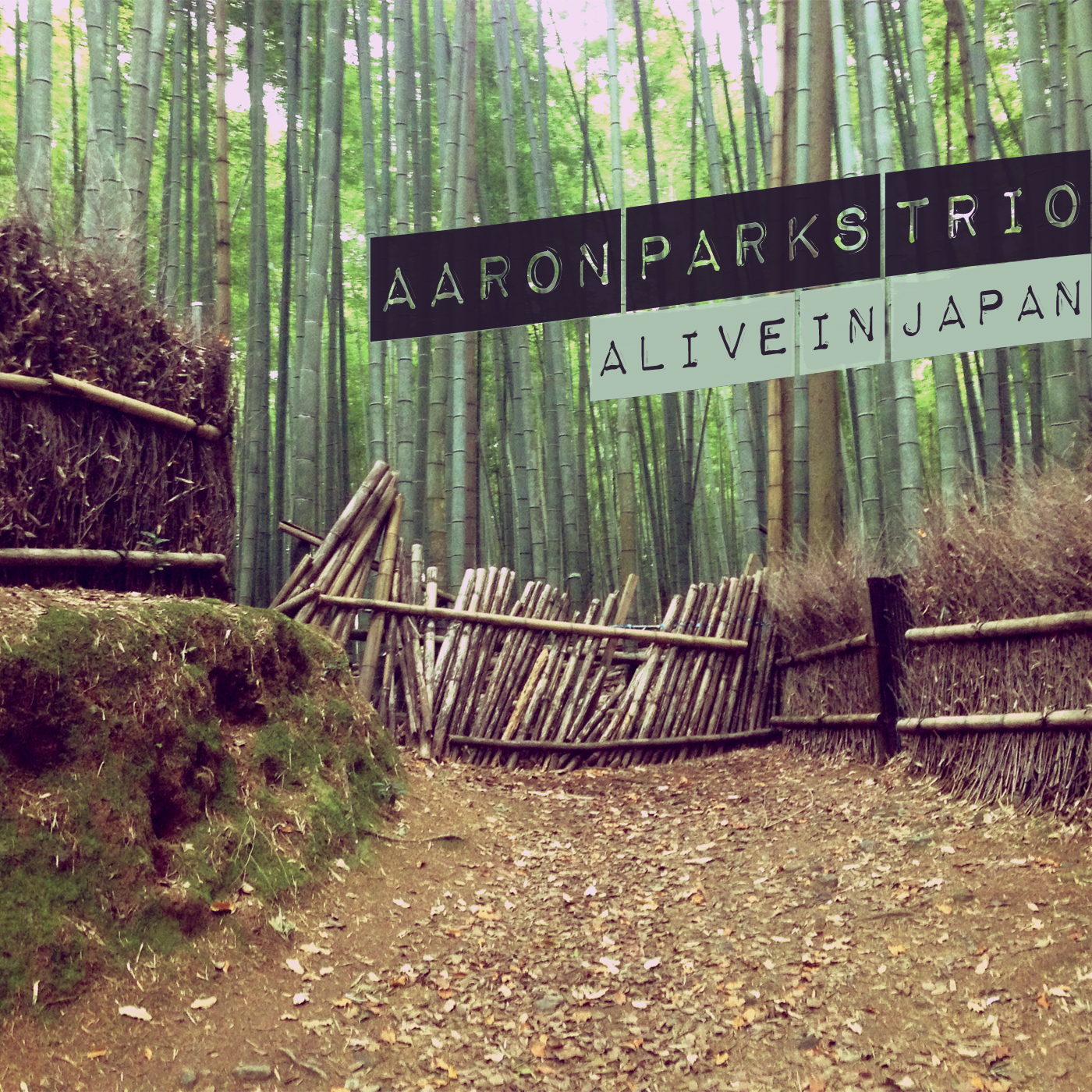 Alive In Japan 2013 Jazz - Aaron Parks - Download Jazz Music - Download ...