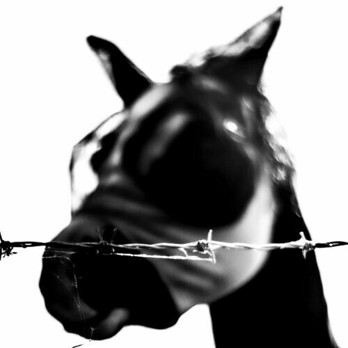 Mr Right Place (EP) 2023 Rock - The Skinner Brothers - Download Rock ...