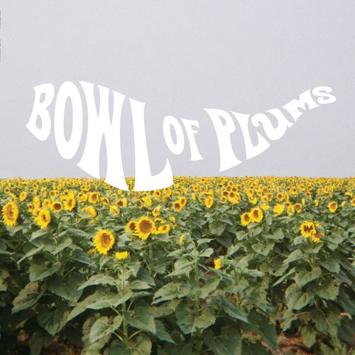 Bowl Of Plums 2016 Folk-Rock - Ben Seretan - Download Folk-Rock Music ...