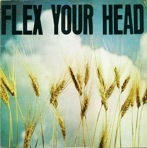 Flex Your Head (Vinyl) 1982 Hardcore - VA - Download Hardcore Music - Download Commie Song ...