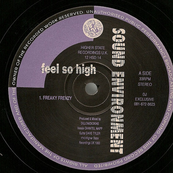 Feel So High (EP) (Vinyl) 1993 House - Sound Environment - Download ...